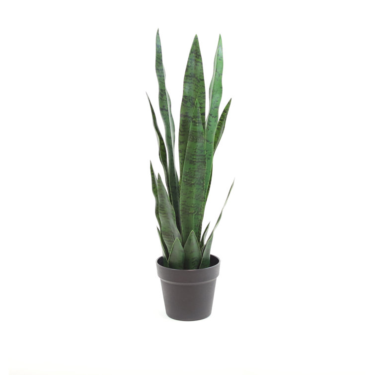 Primrue Artificial Snake Plant Tree in Pot Liner & Reviews | Wayfair Primrue Artificial Snake Plant Tree in Pot Liner & Reviews | Wayfair